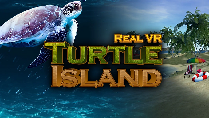 Furqan Arshad | Software Developer